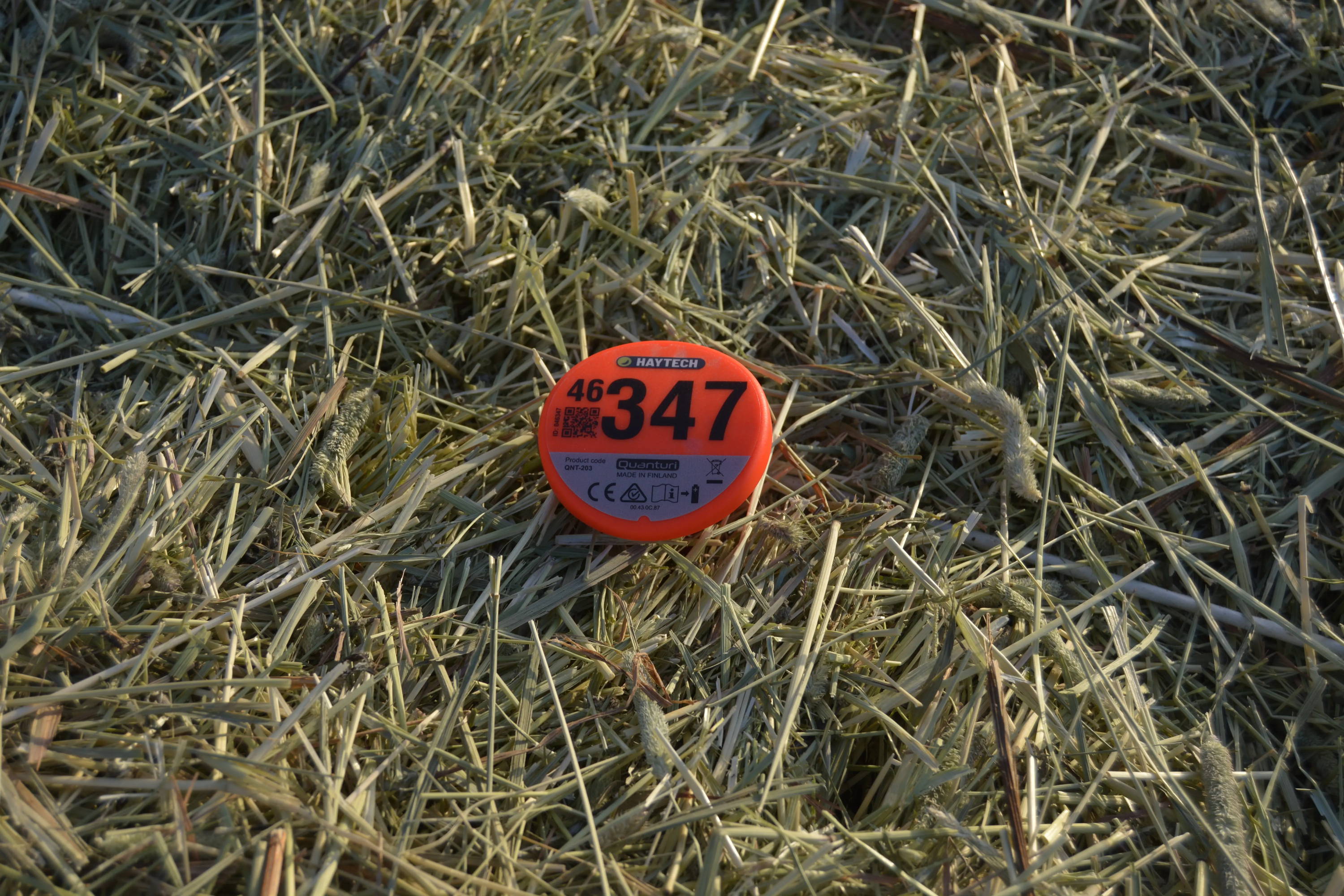 HAYTECH probes – Quanturi